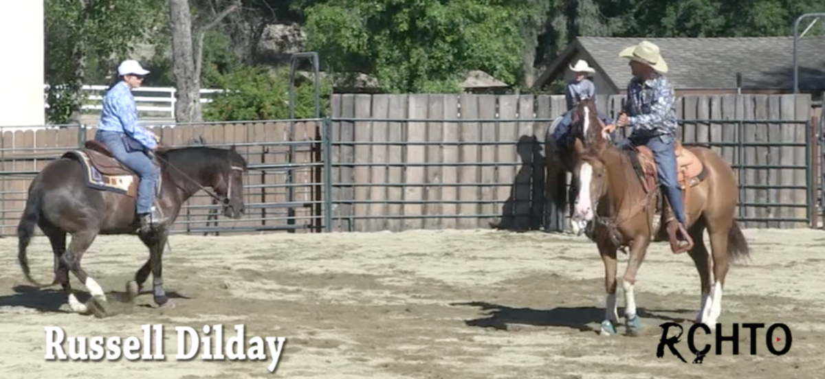 Videos - Reined Cow Horse Training Online - RCHTO
