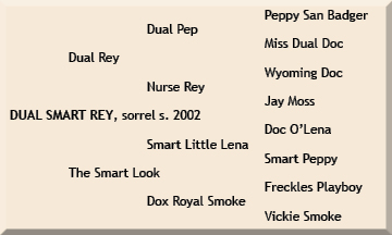 Dual Smart Rey - Reined Cow Horse Training Online - RCHTO