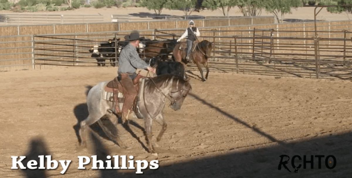 Home - Reined Cow Horse Training Online - RCHTO