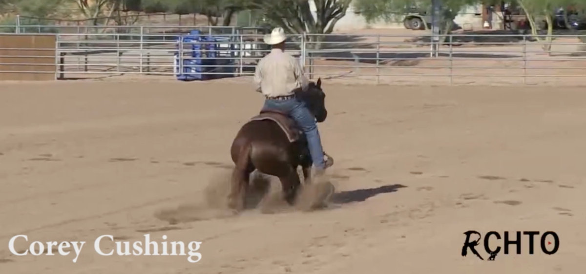 Corey Cushing - Reined Cow Horse Training Online - RCHTO