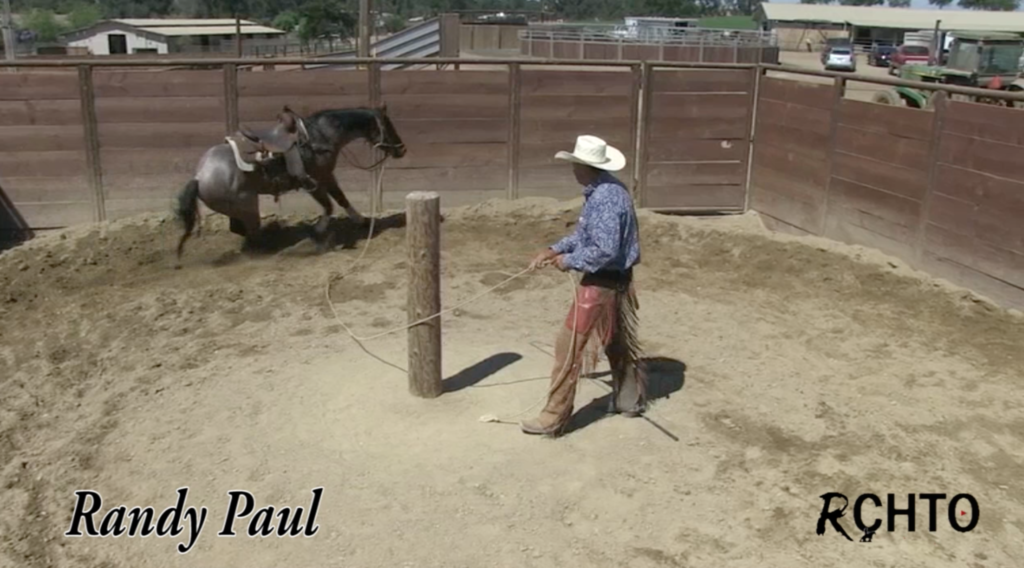 Why Randy Paul Works Older Horses In The Post Pen - Reined Cow Horse ...
