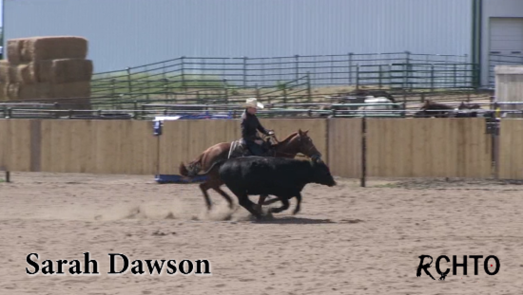 Sarah Dawson - Reined Cow Horse Training Online - RCHTO