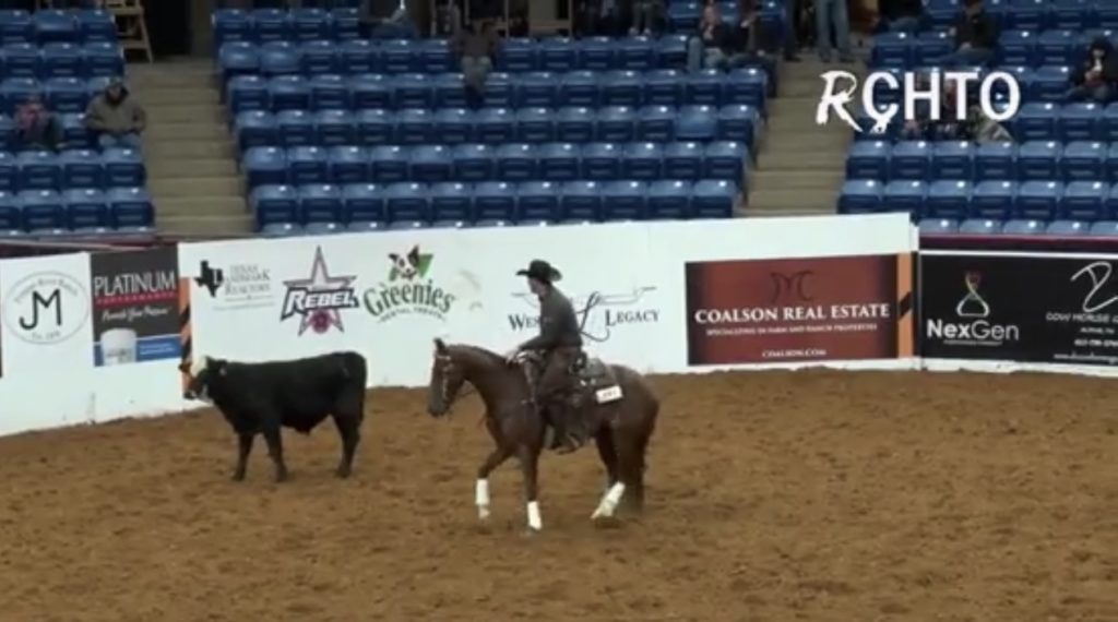 The Impact of Boxing On Reined Cow Horses - Reined Cow Horse Training ...