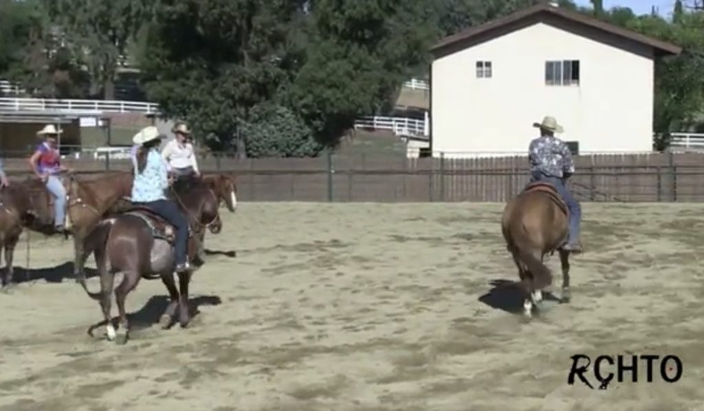 The Impact of Boxing On Reined Cow Horses - Reined Cow Horse Training ...