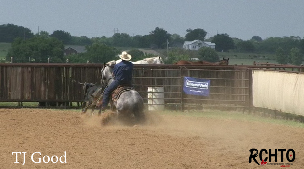 Roping - Reined Cow Horse Training Online - RCHTO