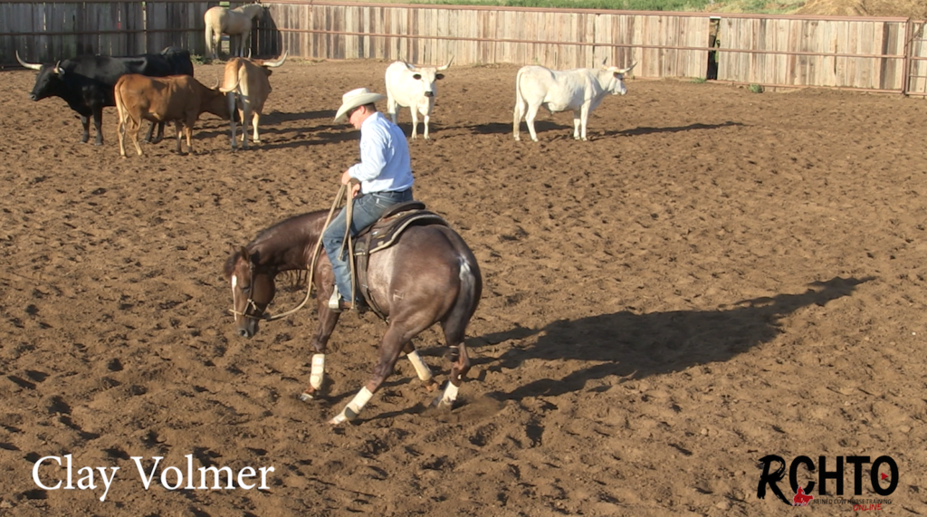 How To Improve Your Herd-Work Turn With Clay Volmer - Reined Cow Horse ...