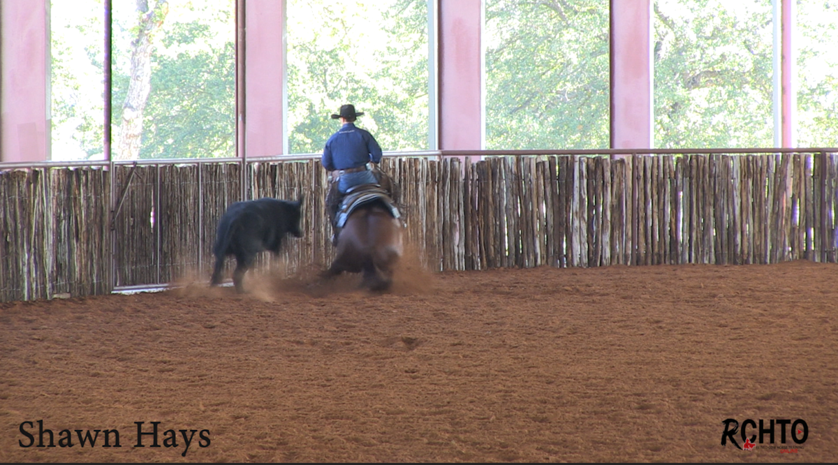 Cow Work - Reined Cow Horse Training Online - RCHTO