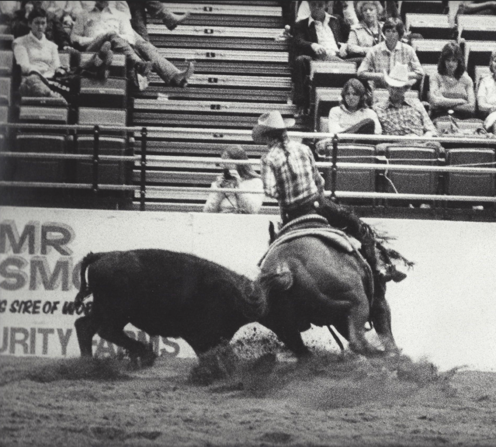 For The Love Of Reined Cow Horses - How The Industry Helps Its Own ...