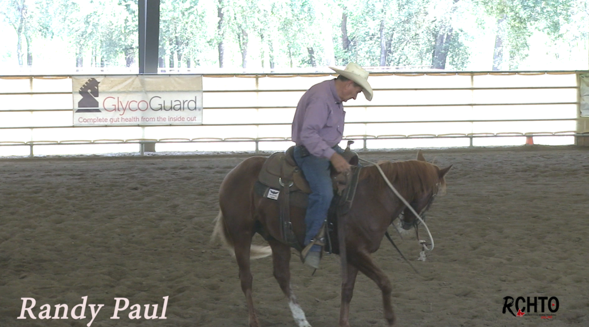 Rein Work - Reined Cow Horse Training Online - RCHTO