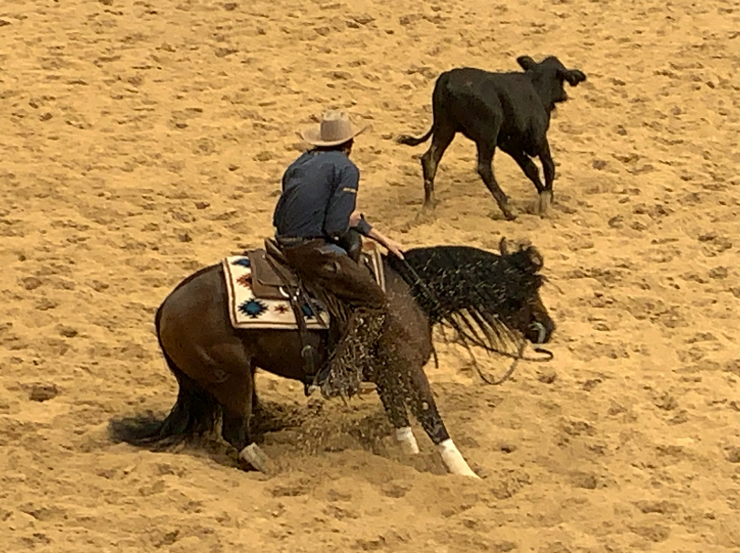 Mapping Out The Mind Game with Jesse Lennox - Reined Cow Horse Training ...