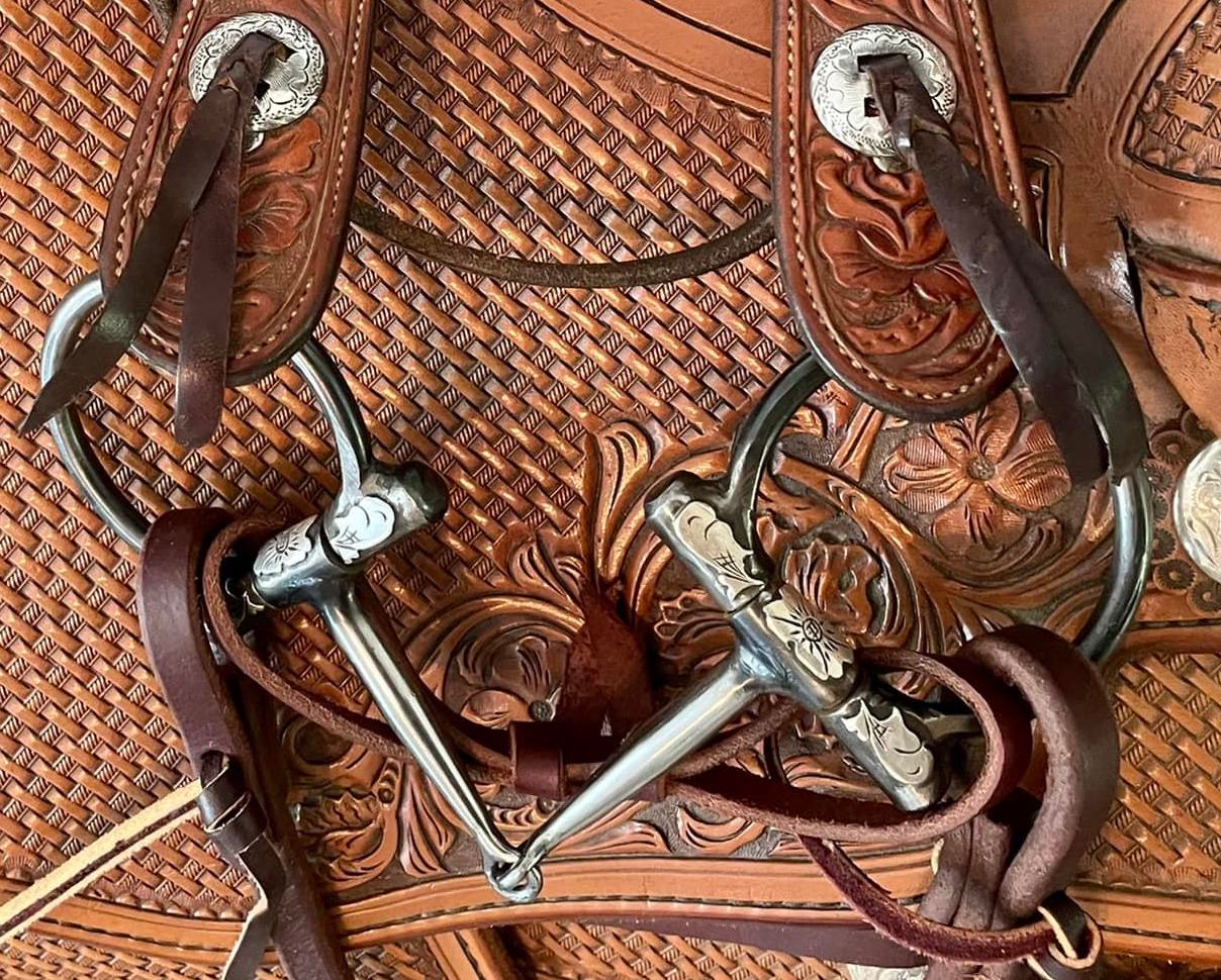 Bit by Bit: The Snaffle Bit & Hackamore Journey with Phillip Ralls ...