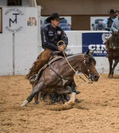 Bit by Bit The Two-Rein and Bridle Progression with Phillip Ralls and ...