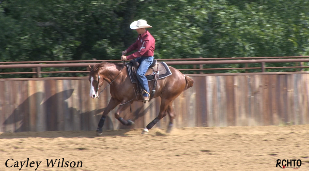 How To Balance A Bridle Horse At Speed! - Reined Cow Horse Training ...