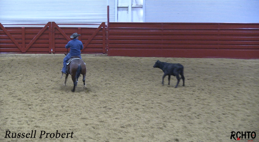 Working Two Year Olds On Cattle And Why Your Stop Should Only Be As Big ...