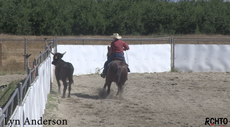 Videos - Reined Cow Horse Training Online - RCHTO