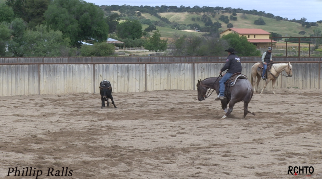 Speed Of Your Herd Work Turn With Phillip Ralls - Reined Cow Horse ...