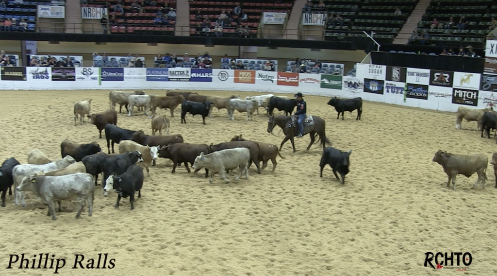 The Art Of Herd Settling Steers With Phillip Ralls. - Reined Cow Horse ...