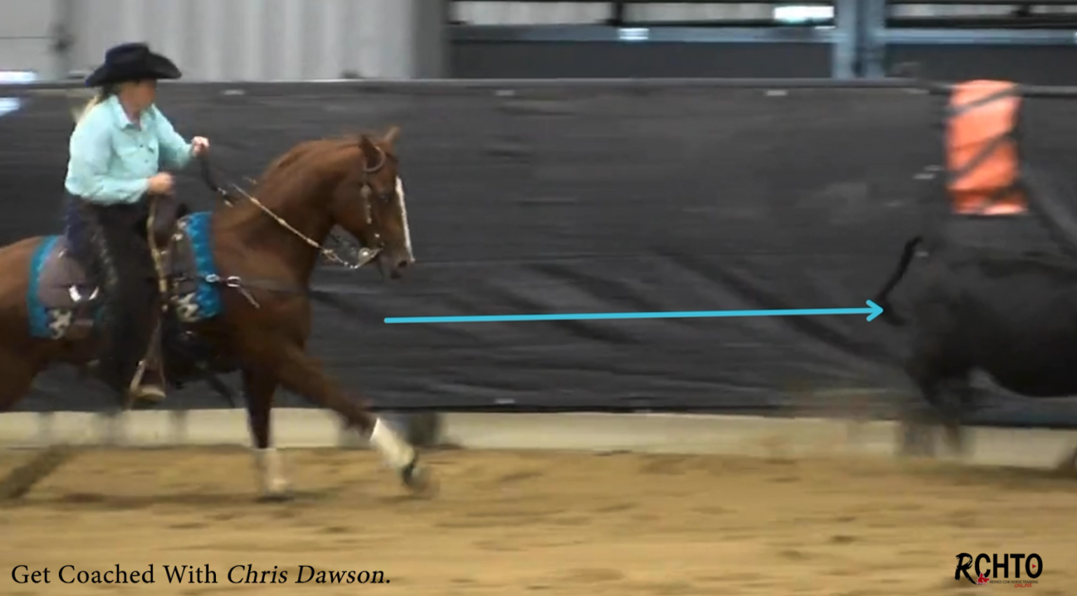 Boxing - Reined Cow Horse Training Online - RCHTO