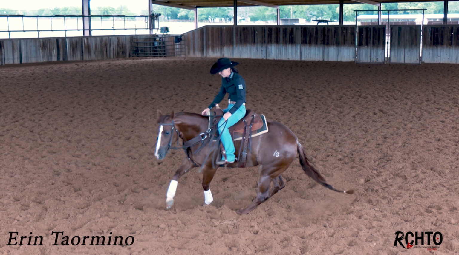 Rein Work - Reined Cow Horse Training Online - RCHTO
