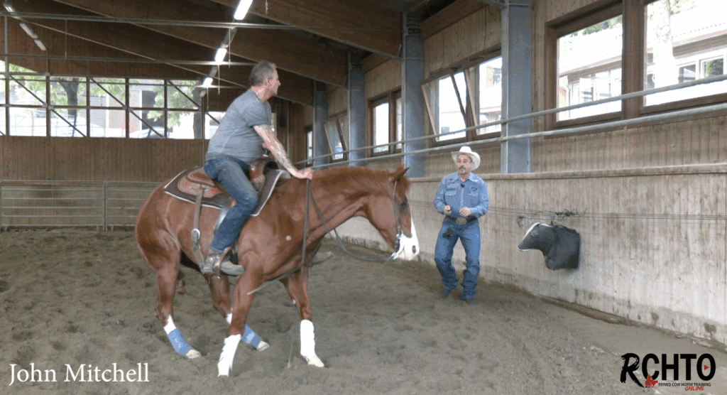 Videos - Reined Cow Horse Training Online - RCHTO